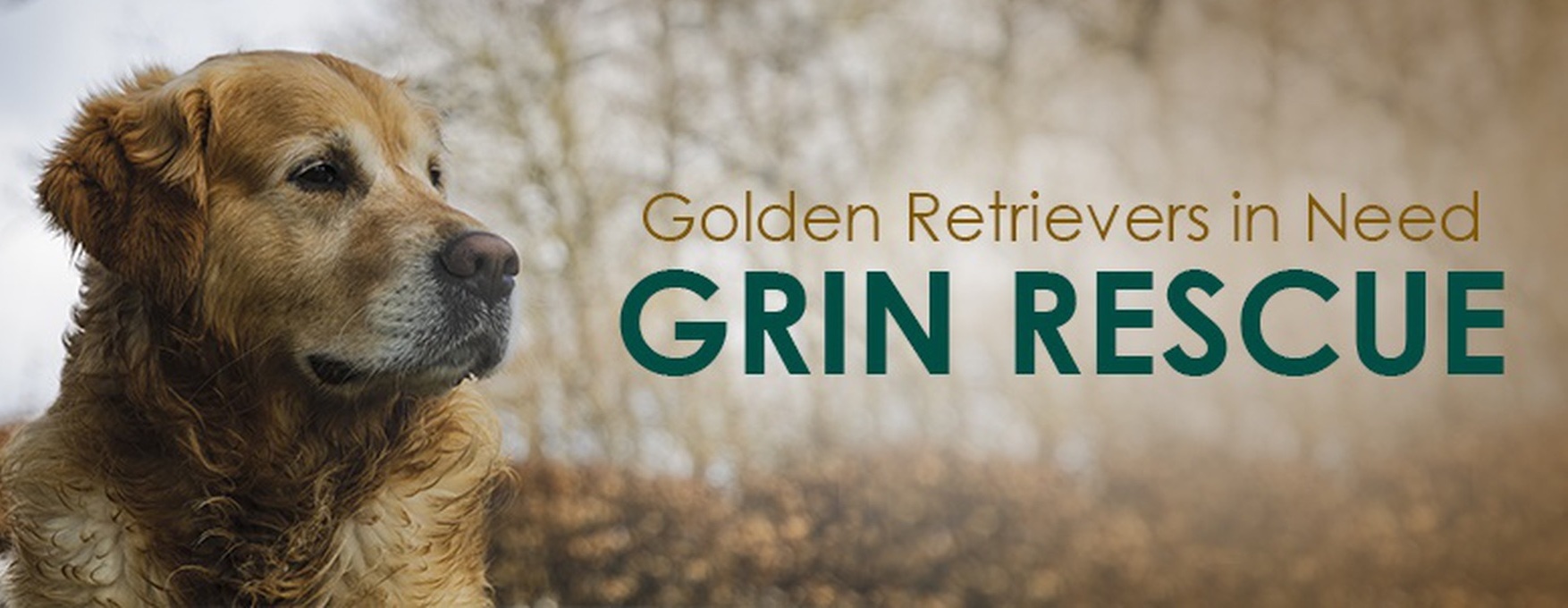 Bar Cart Basket Raffle